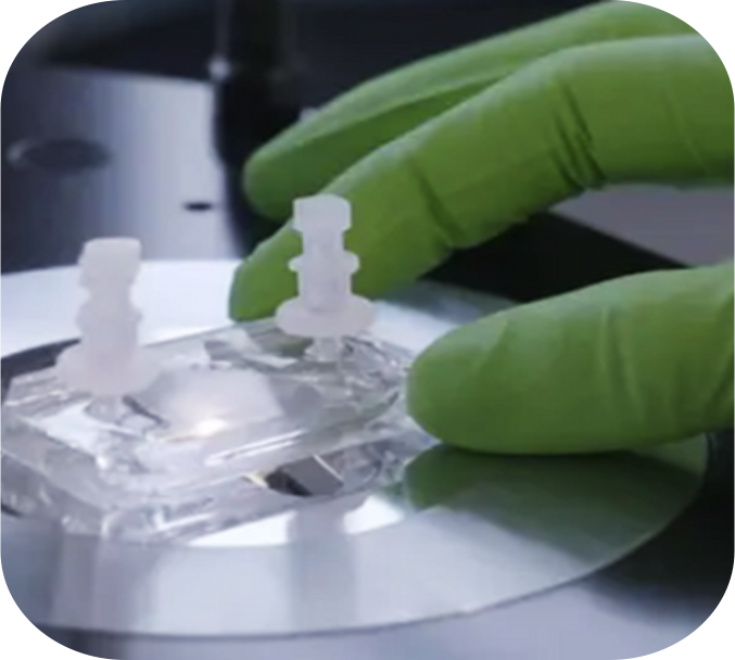 Winter School 2026: Organ on Chip - MicroPhysiological Systems | InLife ...